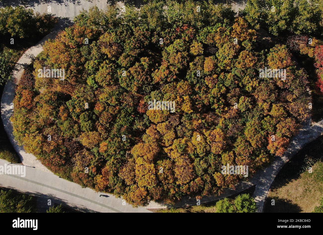 Aerial photos show the charming autumn scene of the main urban area of ...