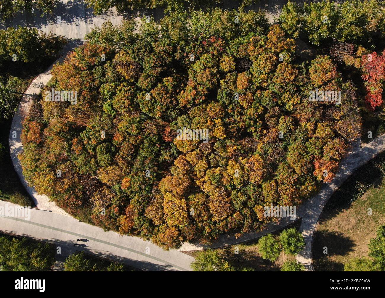 Aerial photos show the charming autumn scene of the main urban area of ...