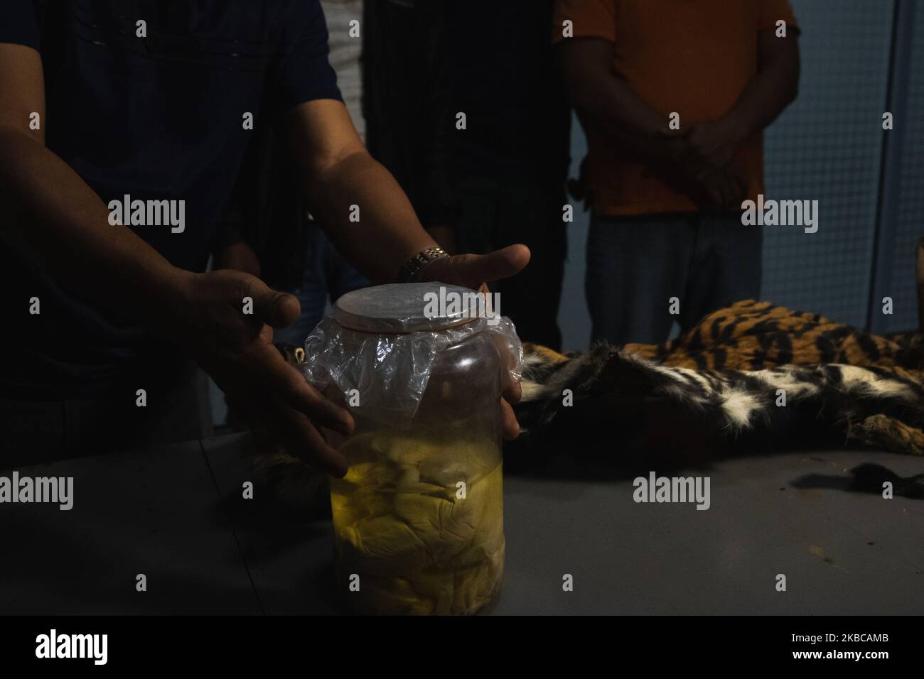 Pelalawan regency hi-res stock photography and images - Alamy