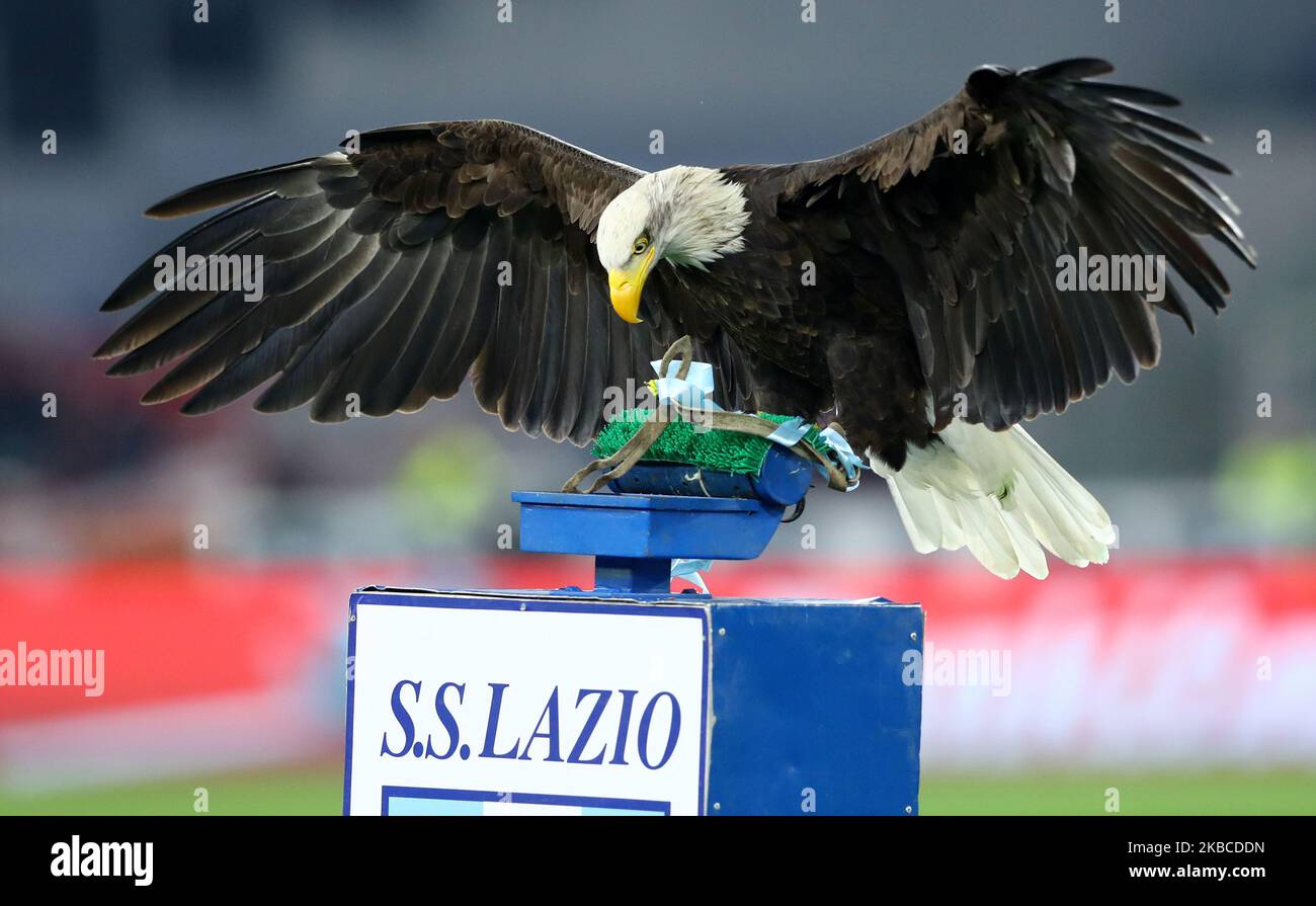 Eagle mascot hi-res stock photography and images - Alamy