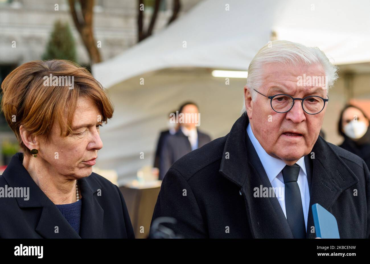 German President Frank-Walter Steinmeier addresses media ...