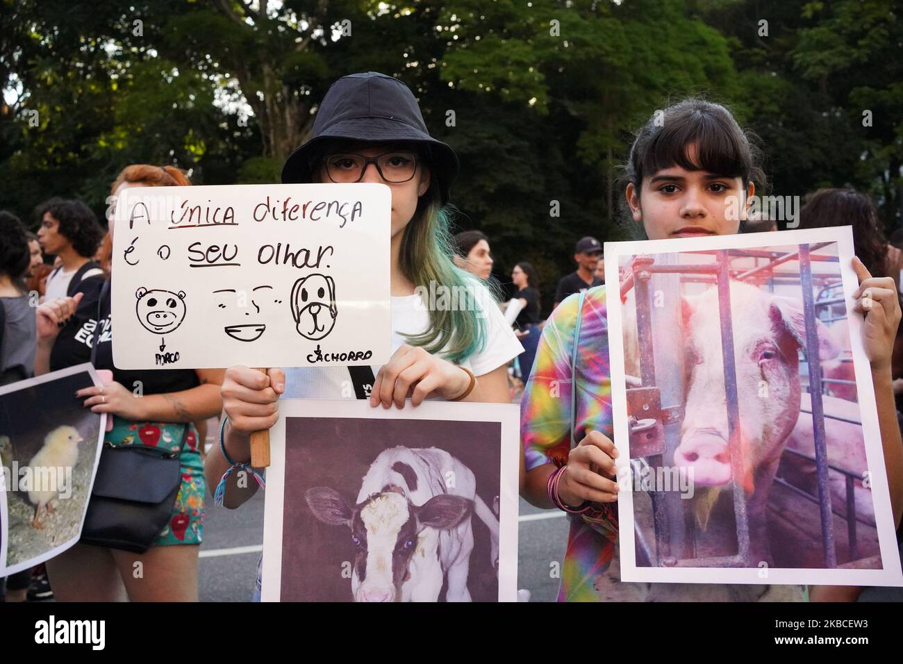 Animal rights activists hold up signs with a picture of mistreated ...