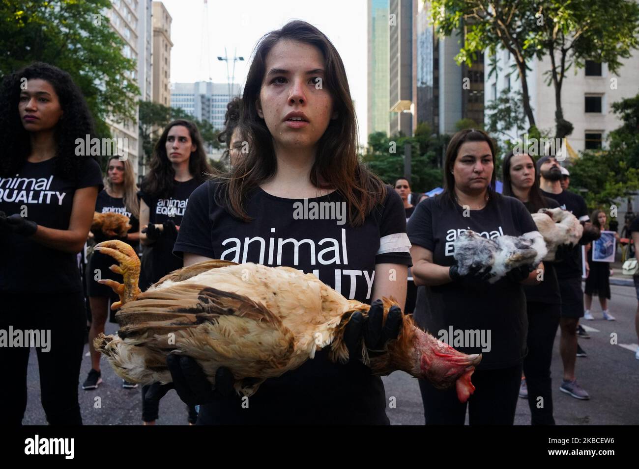 Animal equality brasil hi-res stock photography and images - Alamy