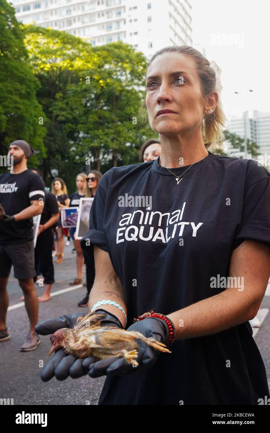 Animal equality brasil hi-res stock photography and images - Alamy