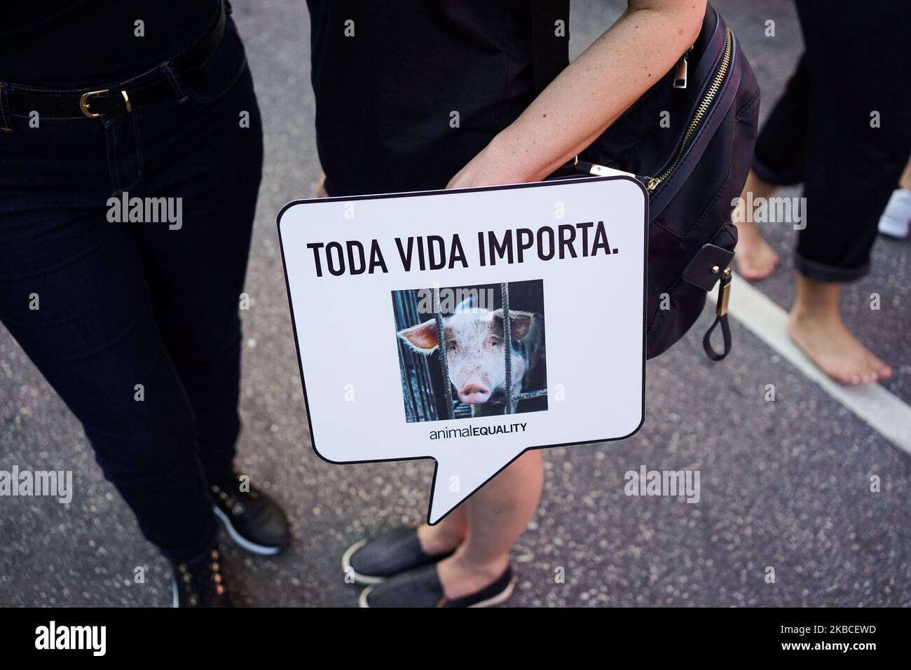 Animal rights activist holds up a sign with a picture of a locked pig ...