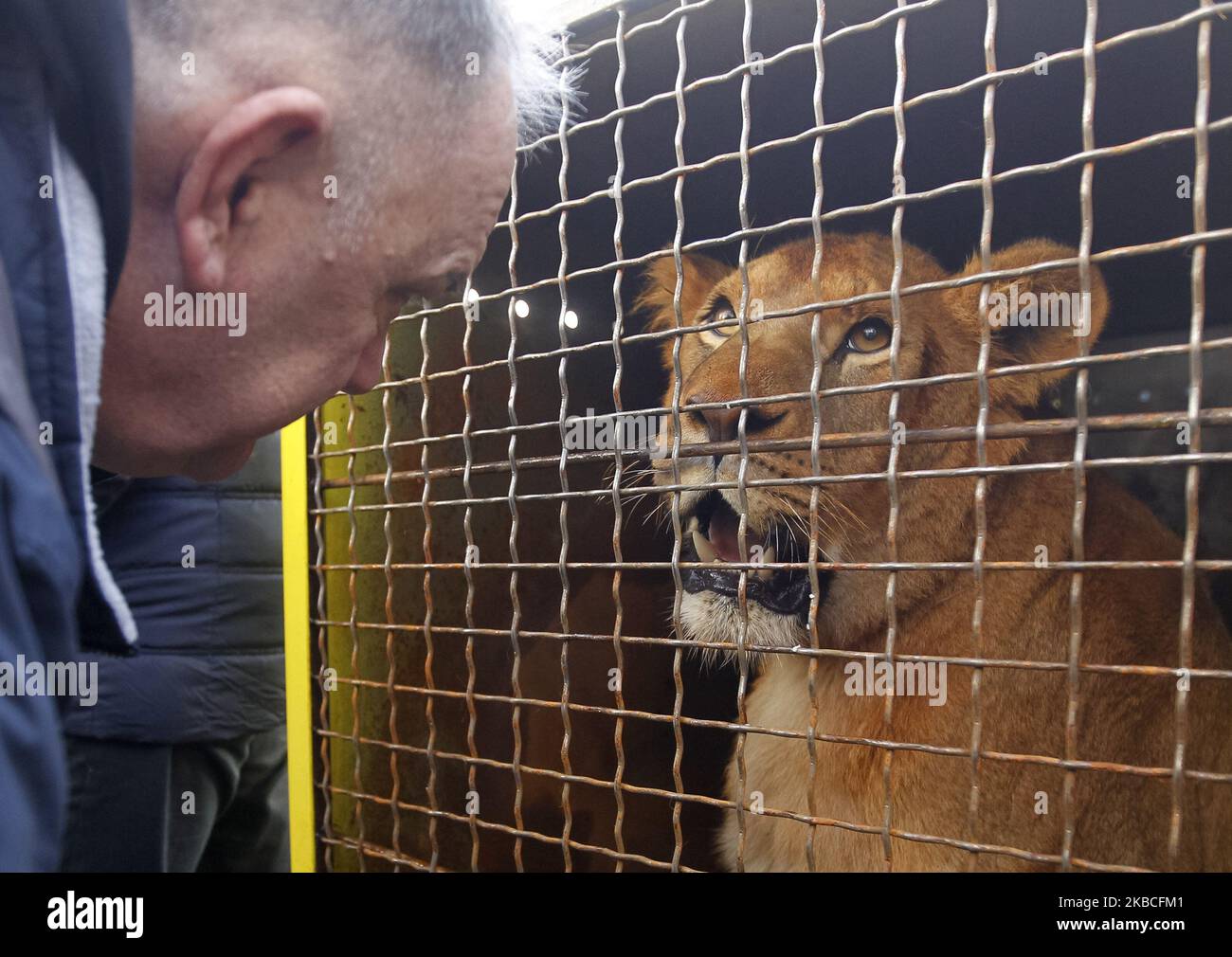 Animal rescue africa dog hi-res stock photography and images - Alamy