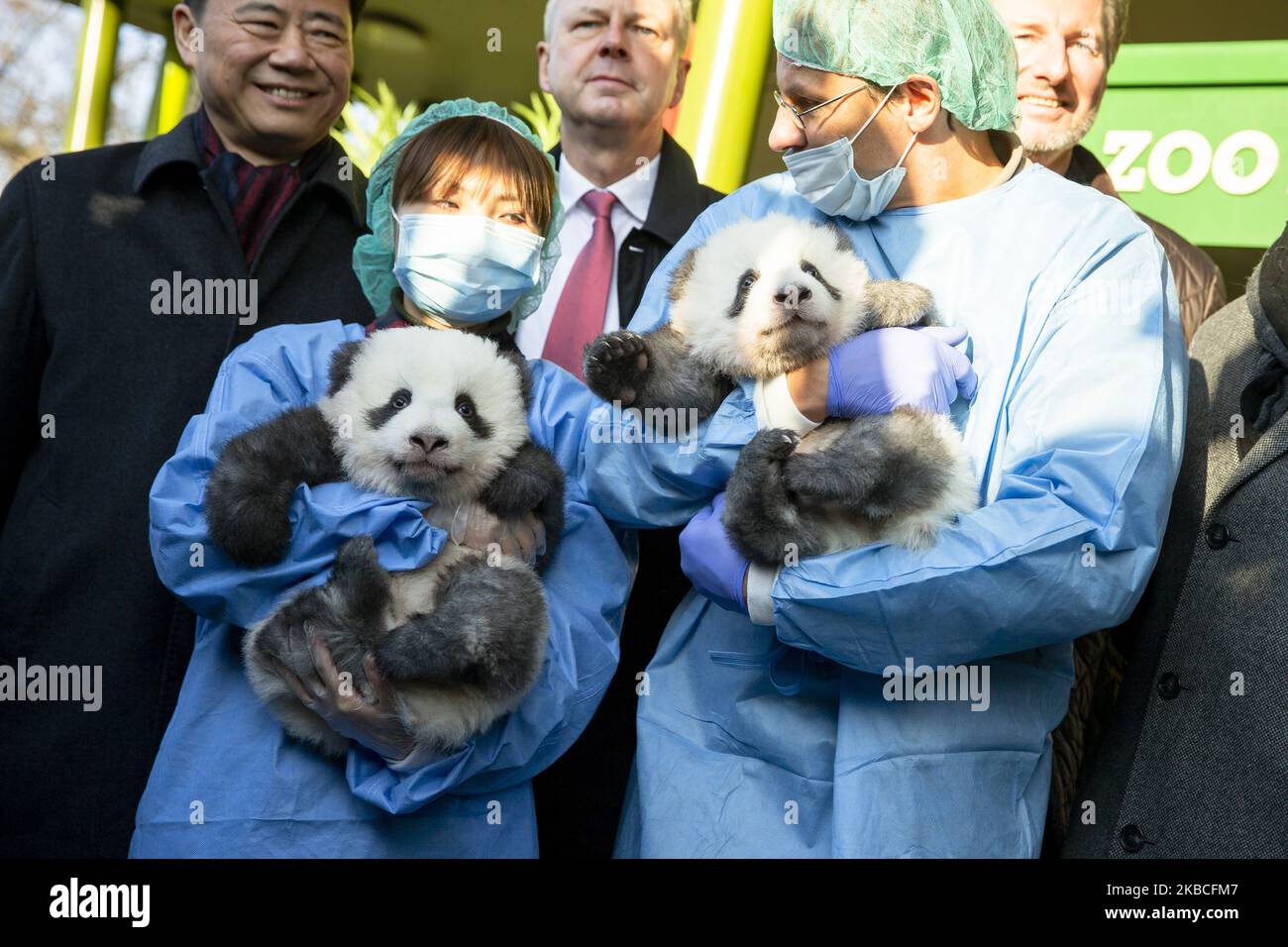 Twin panda cubs "Meng Yuan" and "Meng Xiang" are pictured during a ...