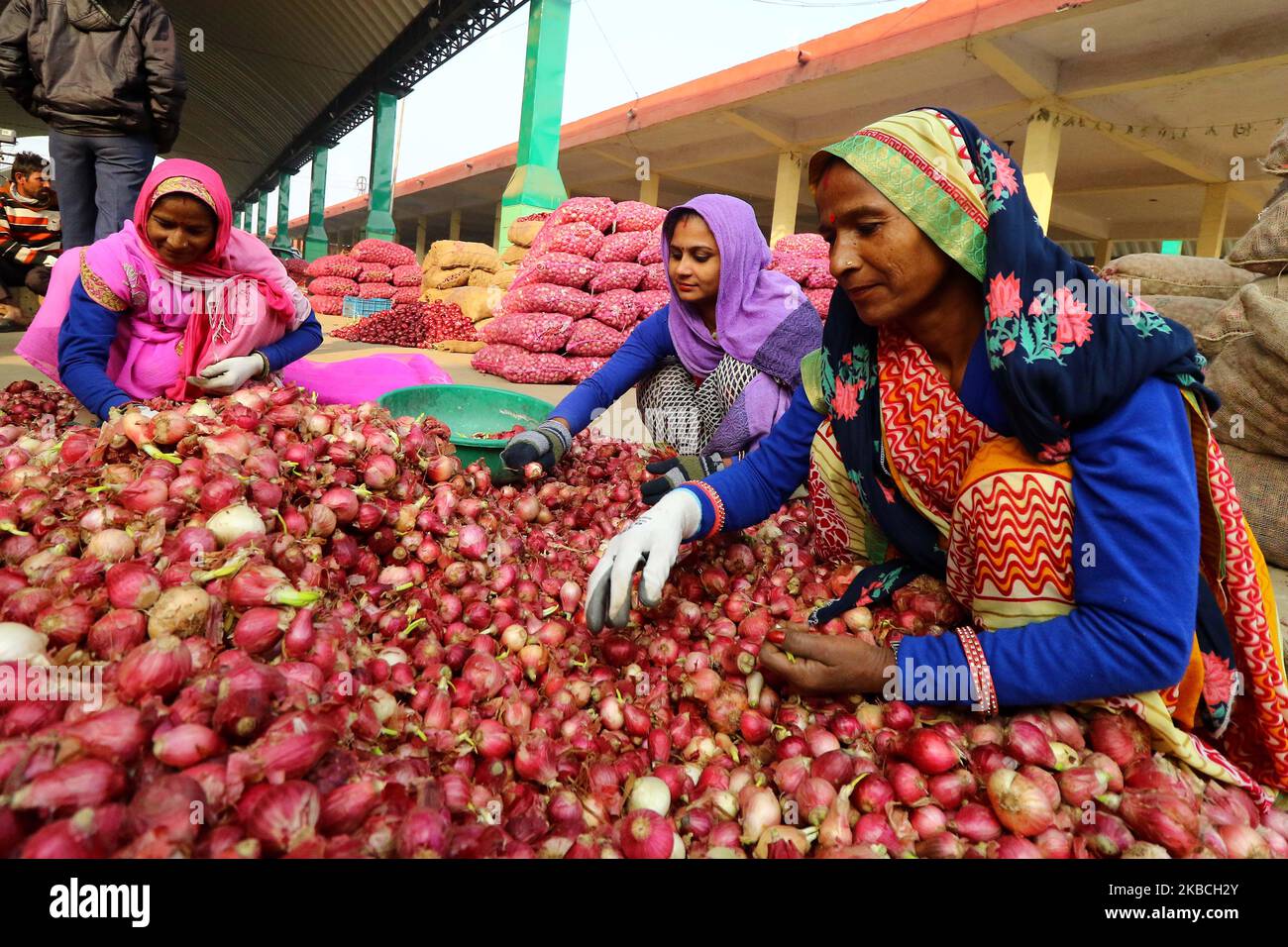 Women workers sort onions hi-res stock photography and images - Alamy