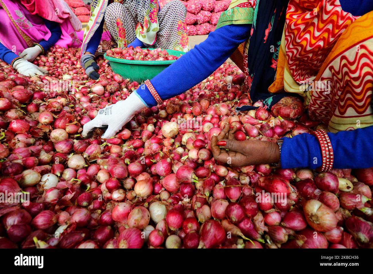 Women workers sort onions hi-res stock photography and images - Alamy