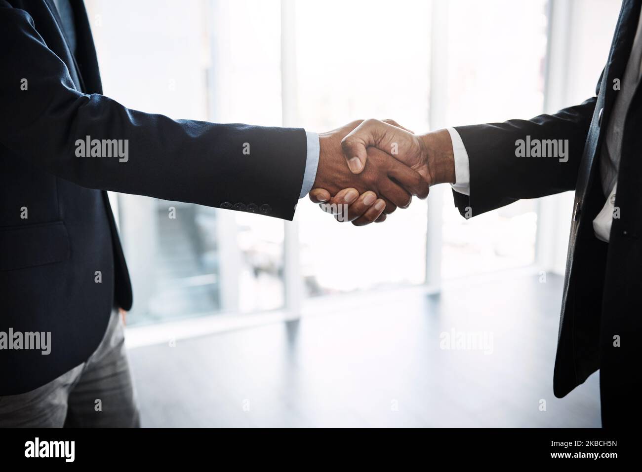 Reaching their business goals together. two unrecognizable businessmen ...