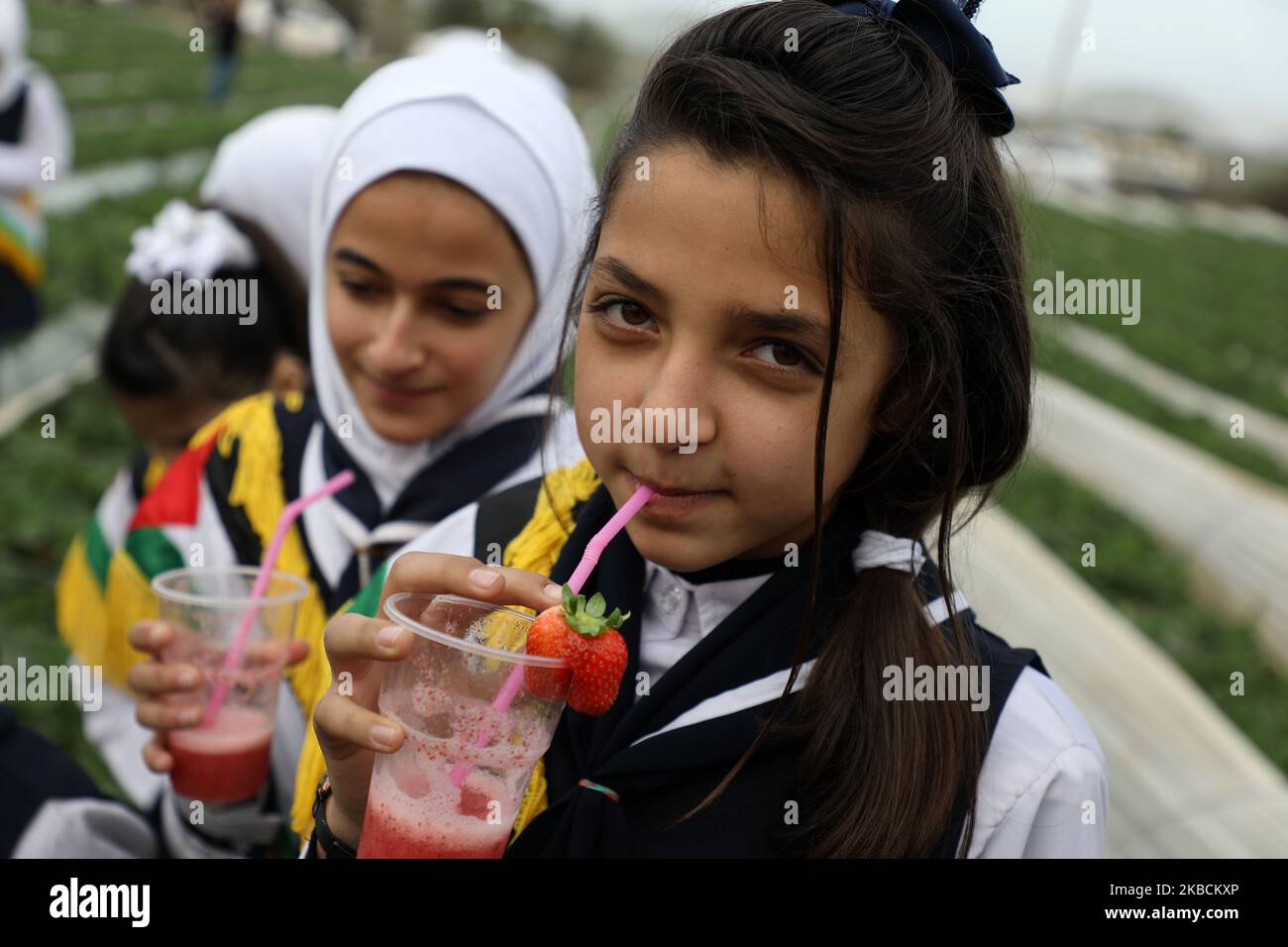 A Palestinian girl drinks a glass of juice made from strawberries ...