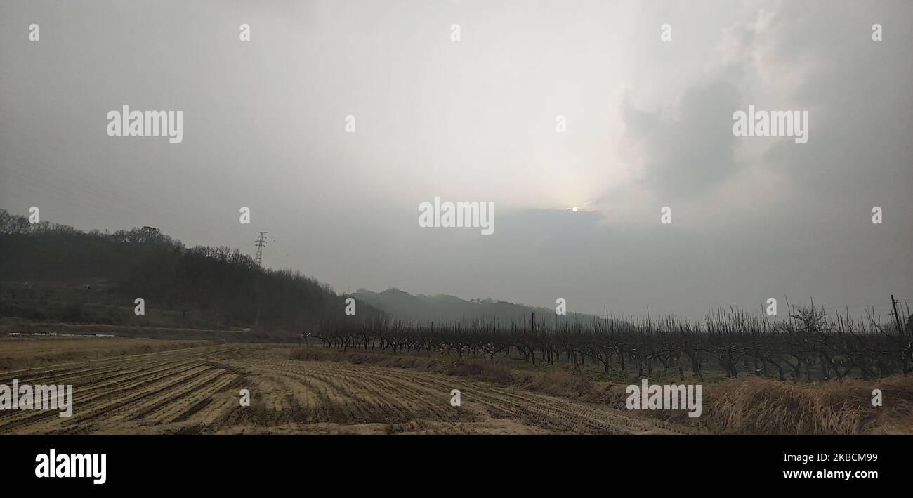 Air pollution in korea hi-res stock photography and images - Alamy