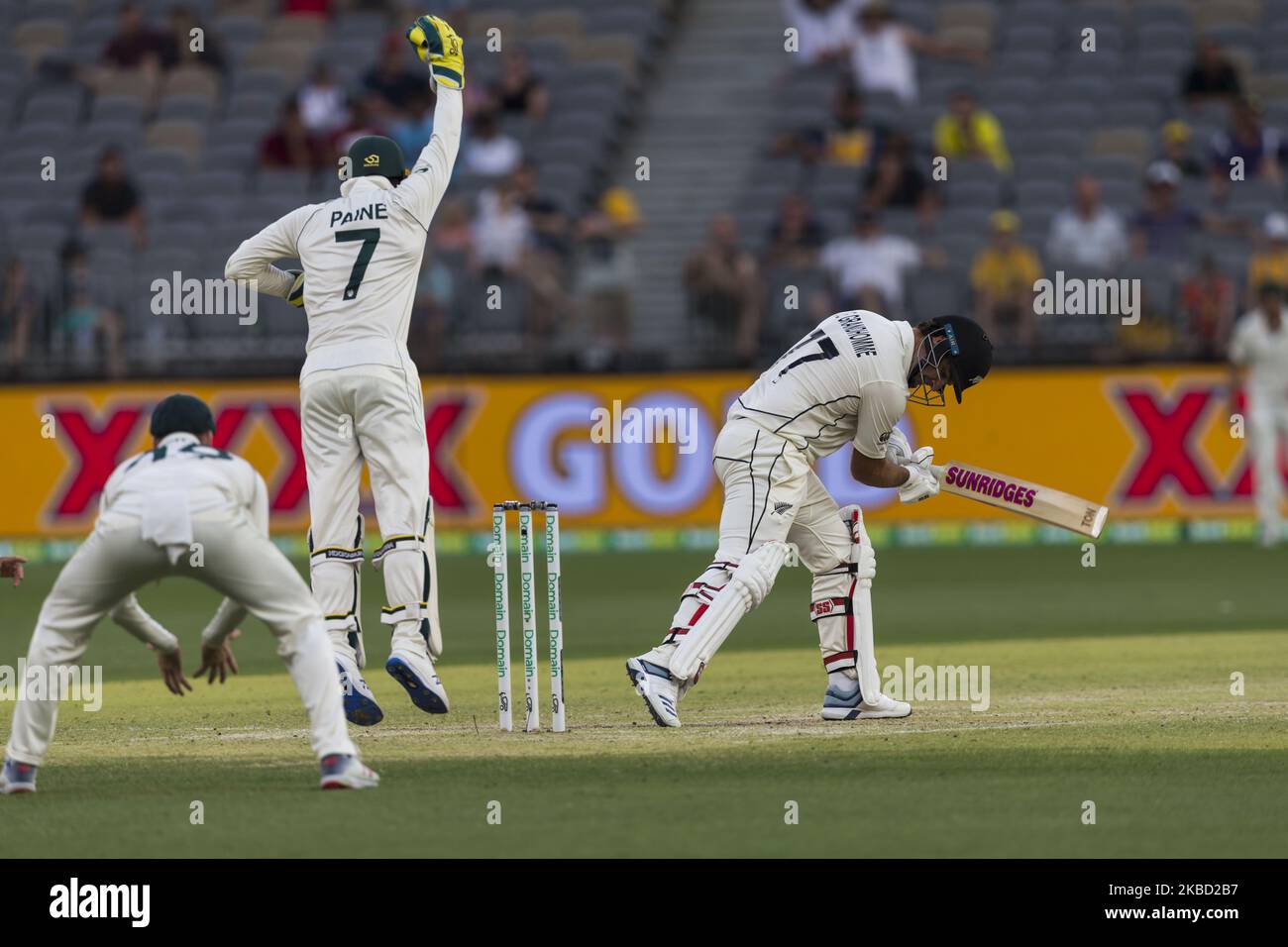 Stephen paine hi-res stock photography and images - Alamy