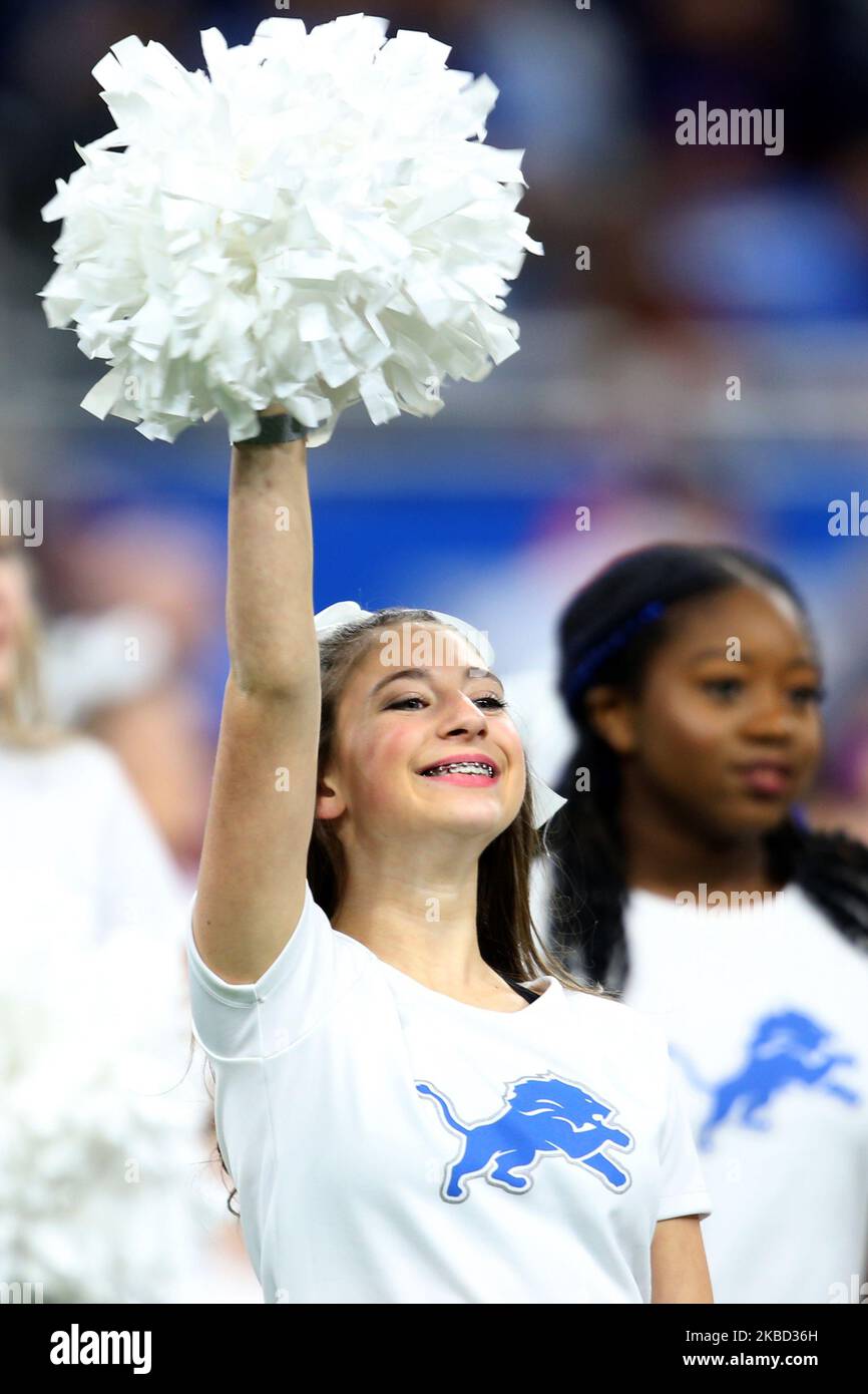 Detrtoit lions cheerleaders hi-res stock photography and images - Alamy