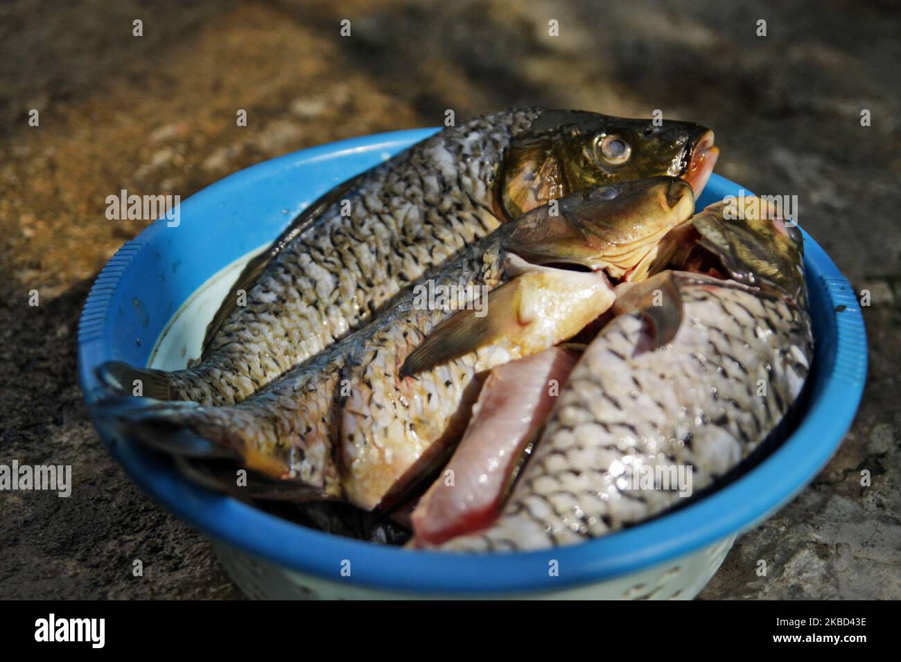 Cibitung regency hi-res stock photography and images - Alamy