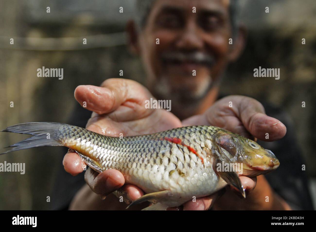 Goldfish glasses hi-res stock photography and images - Alamy