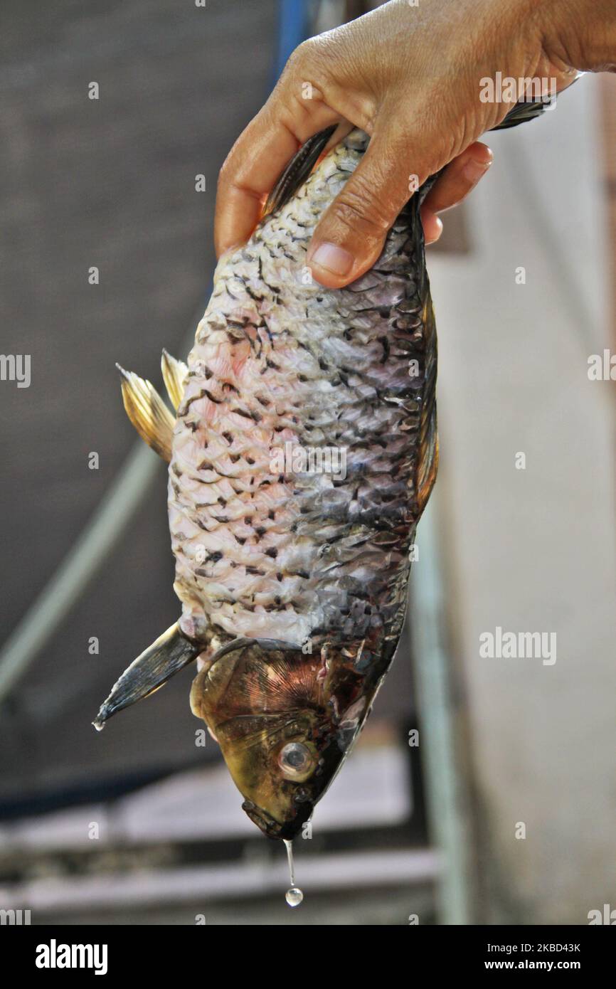 Cibitung hi-res stock photography and images - Alamy