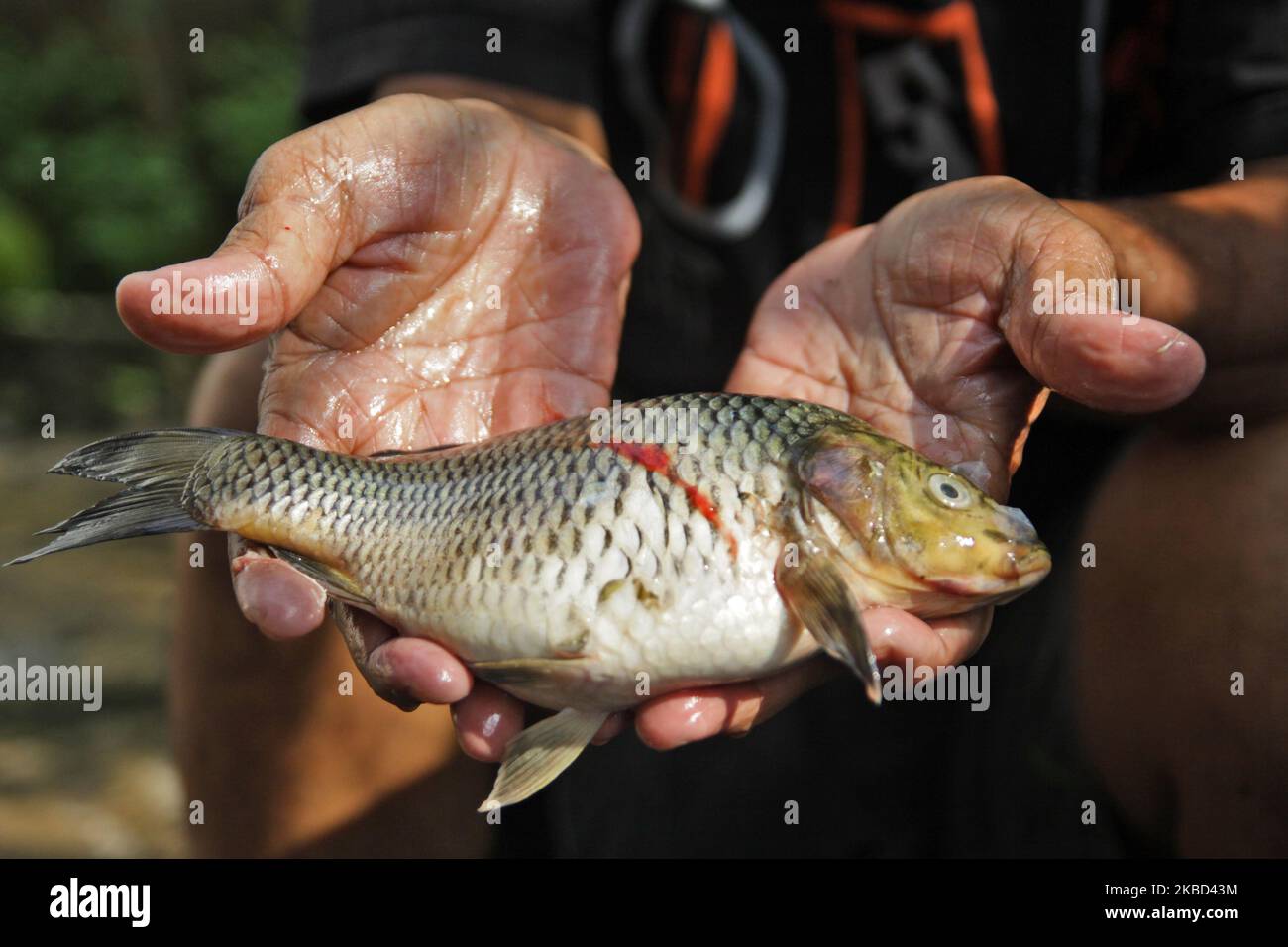 Cibitung regency hi-res stock photography and images - Alamy