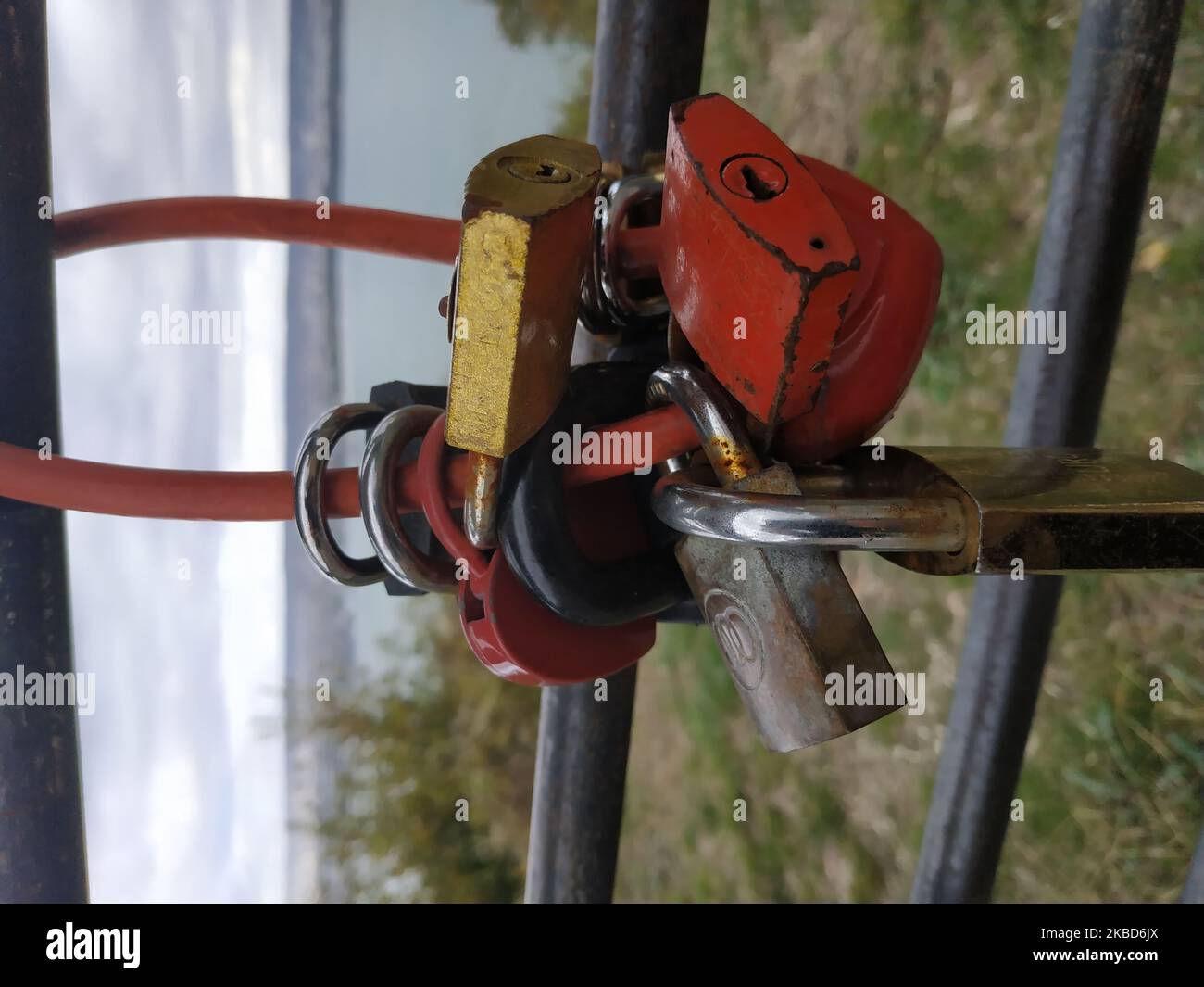 Loving couples locked love locks on the alley of the Panorama near ...