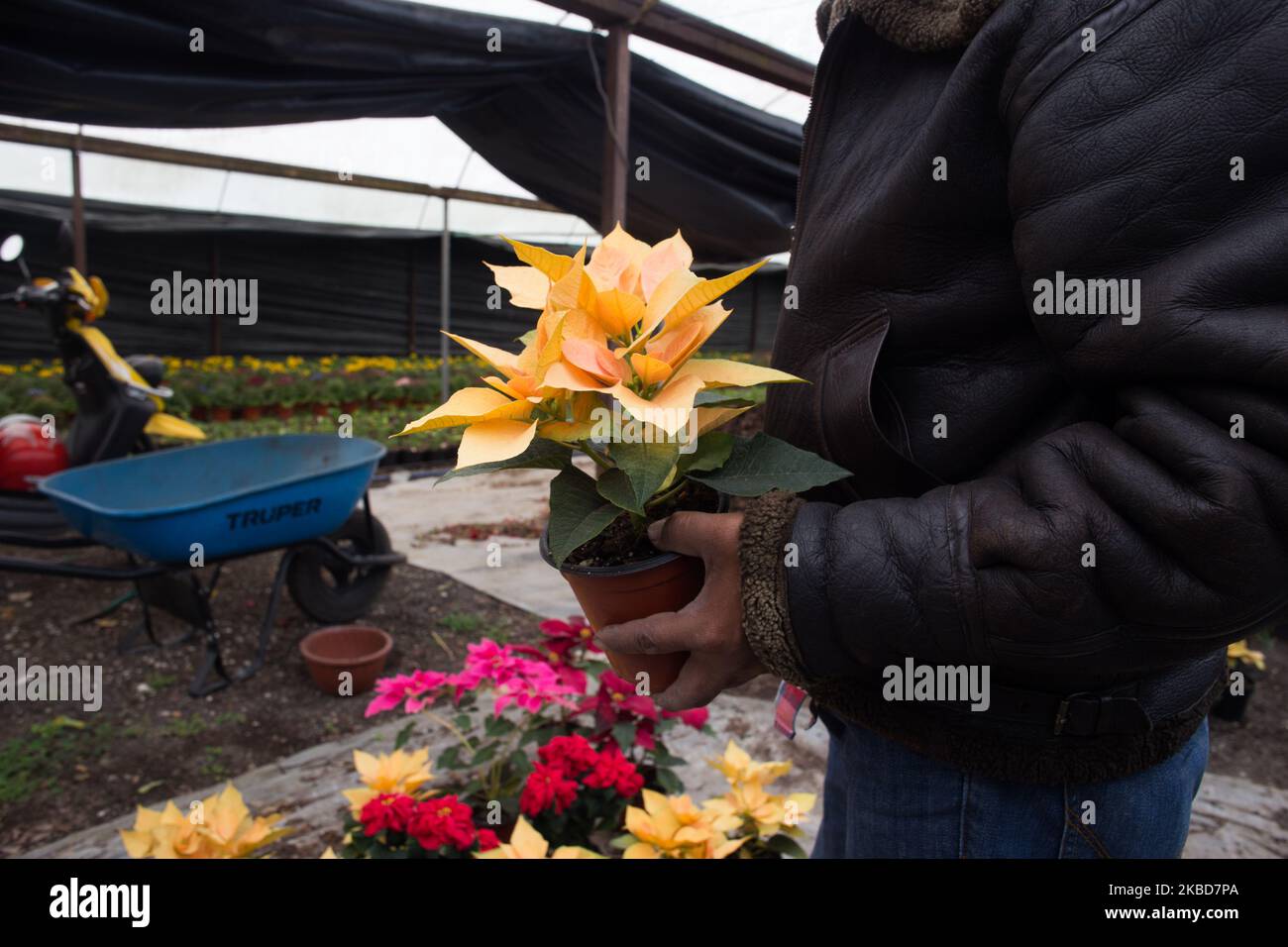 Elias de la cruz hi-res stock photography and images - Alamy