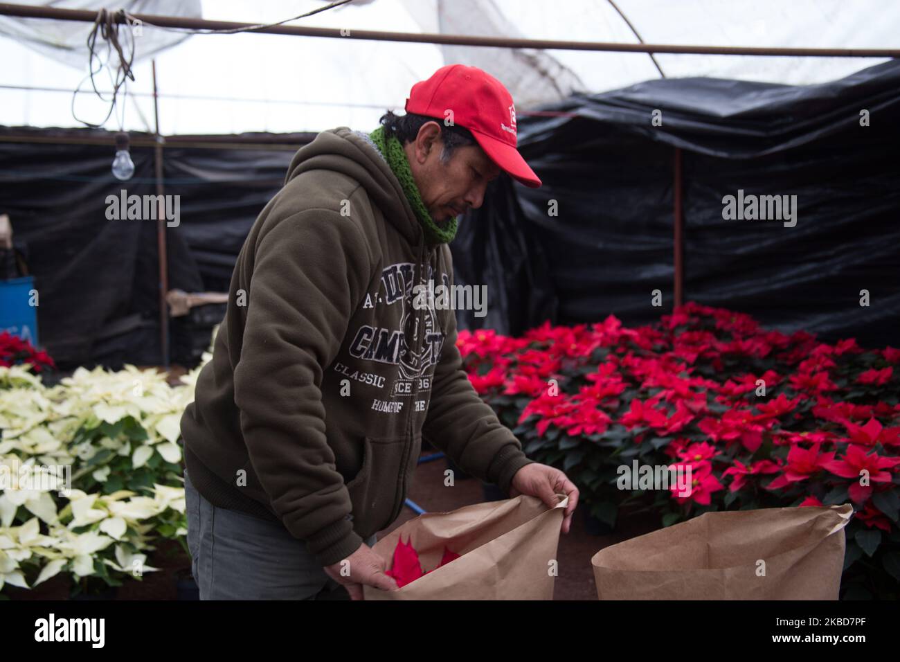 Elias de la cruz hi-res stock photography and images - Alamy
