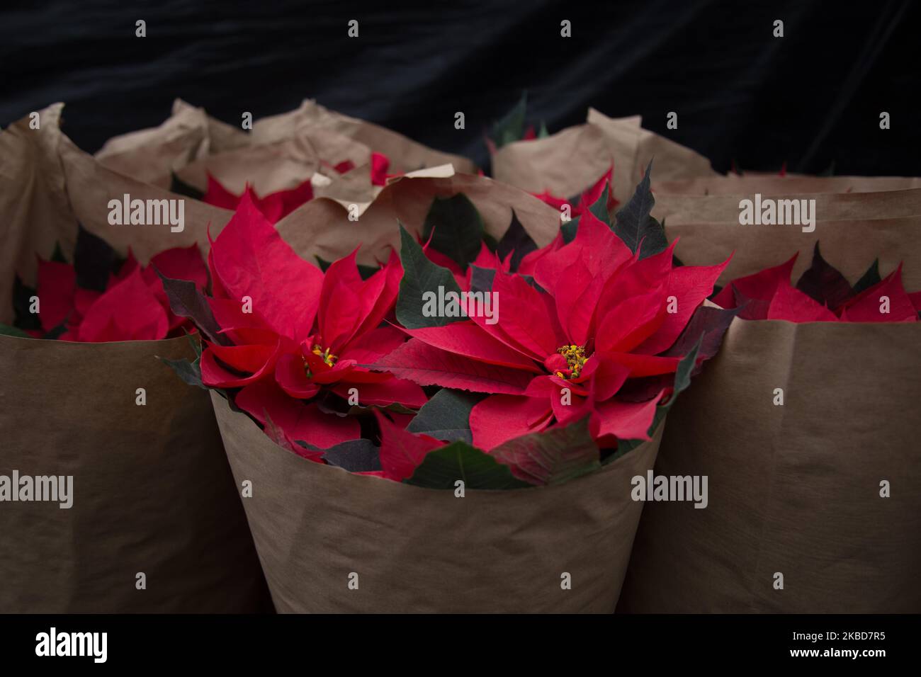 Elias de la cruz hi-res stock photography and images - Alamy
