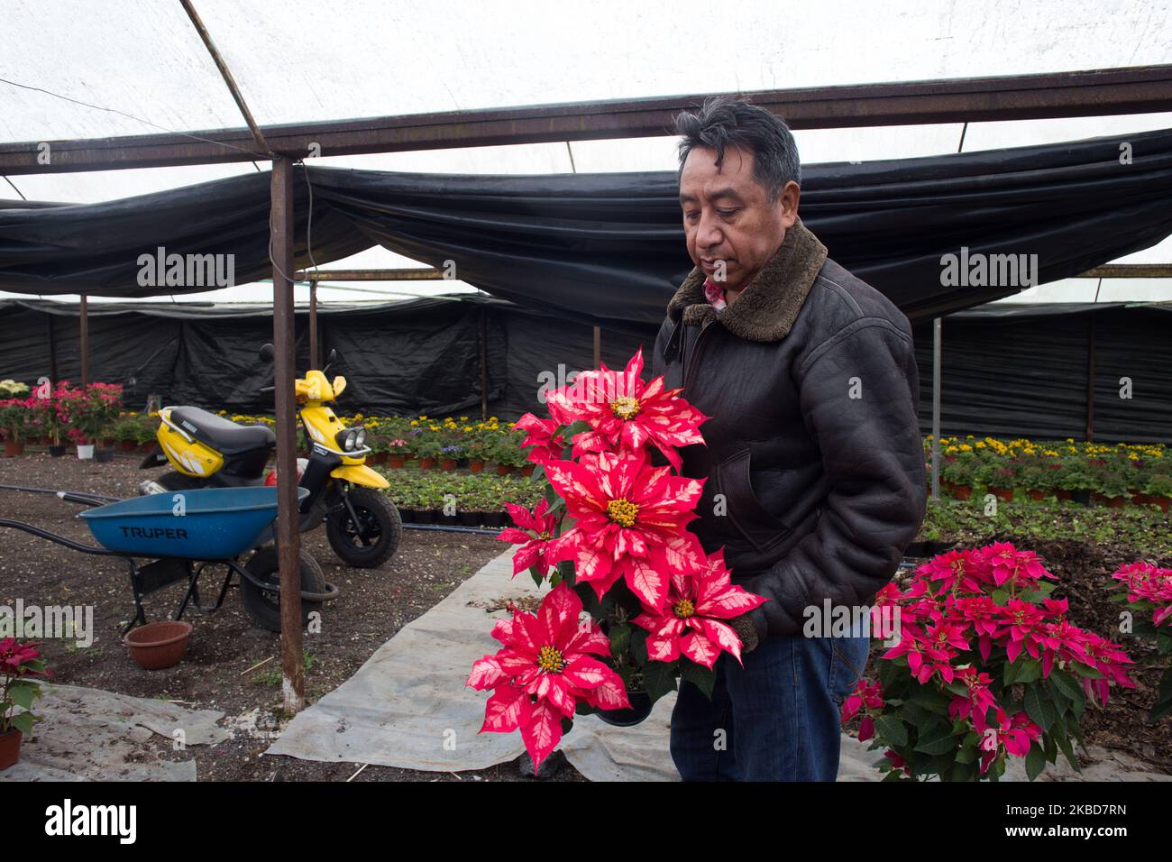 Elias de la cruz hi-res stock photography and images - Alamy