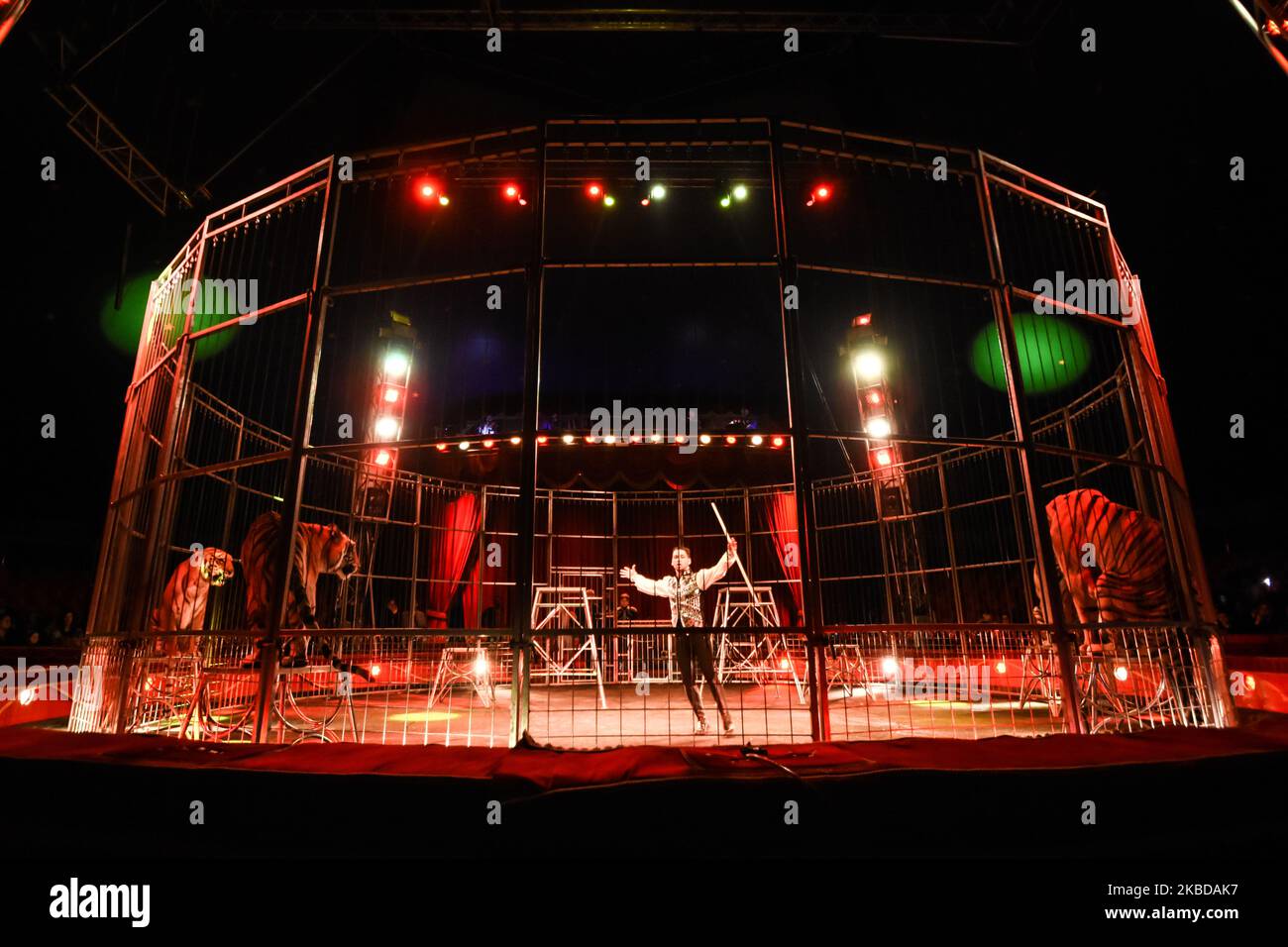 The Circus M. Orfei in Palermo during the Christmas holidays ...