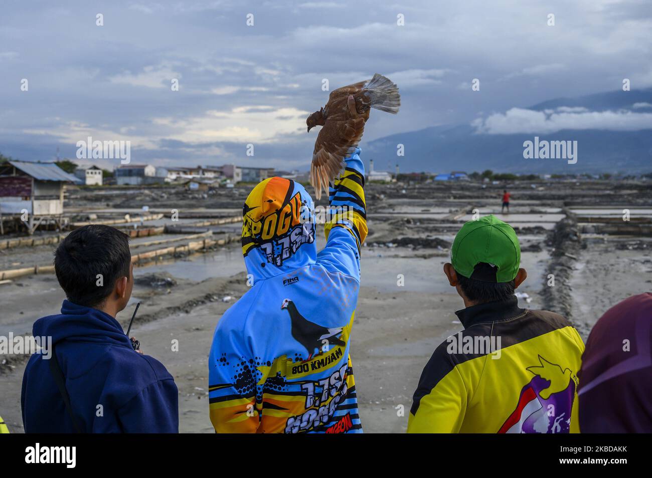 A participant waved a female dove to be visited by a male dove in a ...
