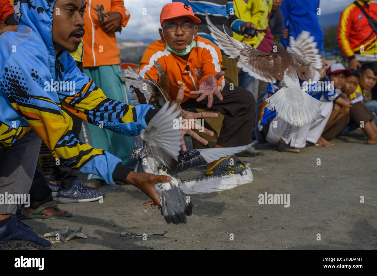 Participants catch male pigeons flying to female pigeons at the racing ...
