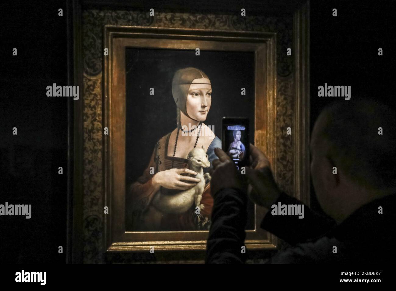 A journalist takes a picture of Leonardo da Vinci's 'Lady with an ...