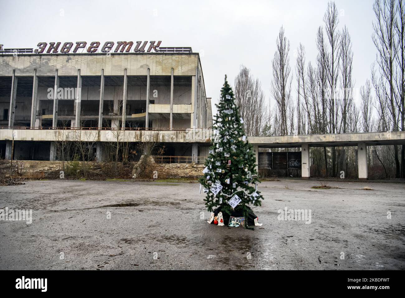 Christmas tree, which was installed for the firstly since 1985 on the ...