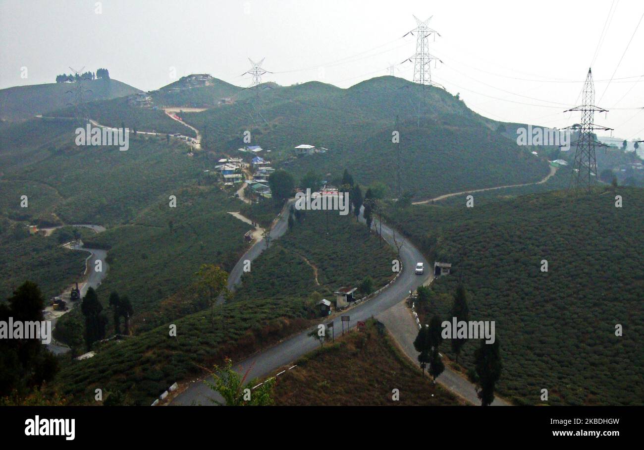 An aerial view of roads and tea gardens can be seen from Tingling view ...