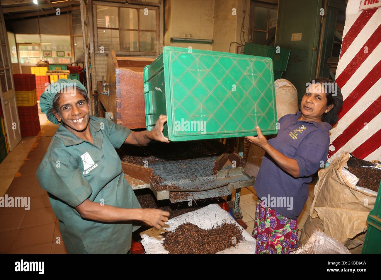 Workers put tea leaves into a drying machine at the Geragama Tea ...