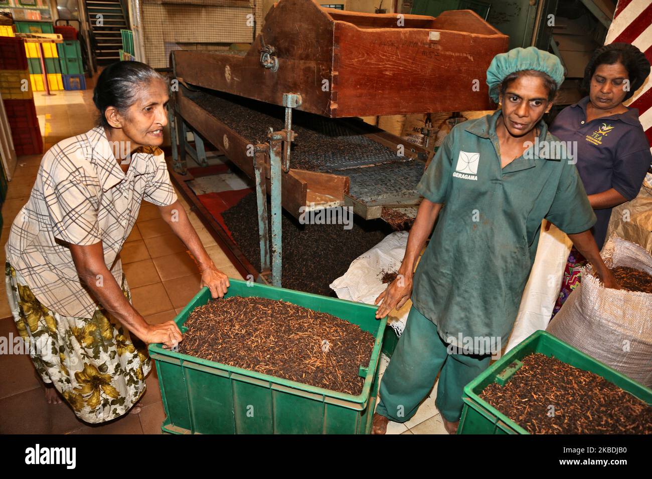 Workers sort freshly roasted tea leaves at the Geragama Tea Factory in ...