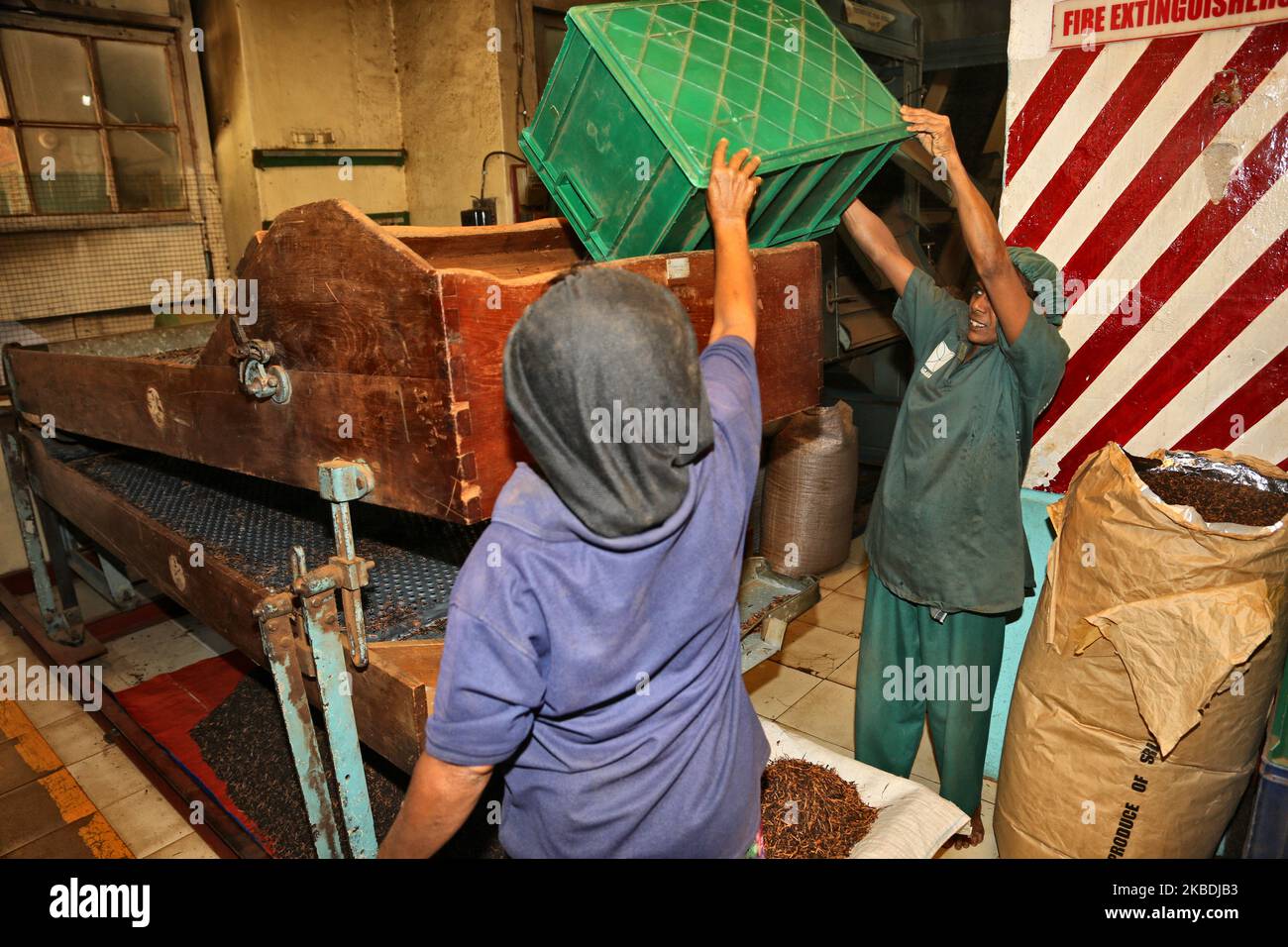 Workers put tea leaves into a drying machine at the Geragama Tea ...