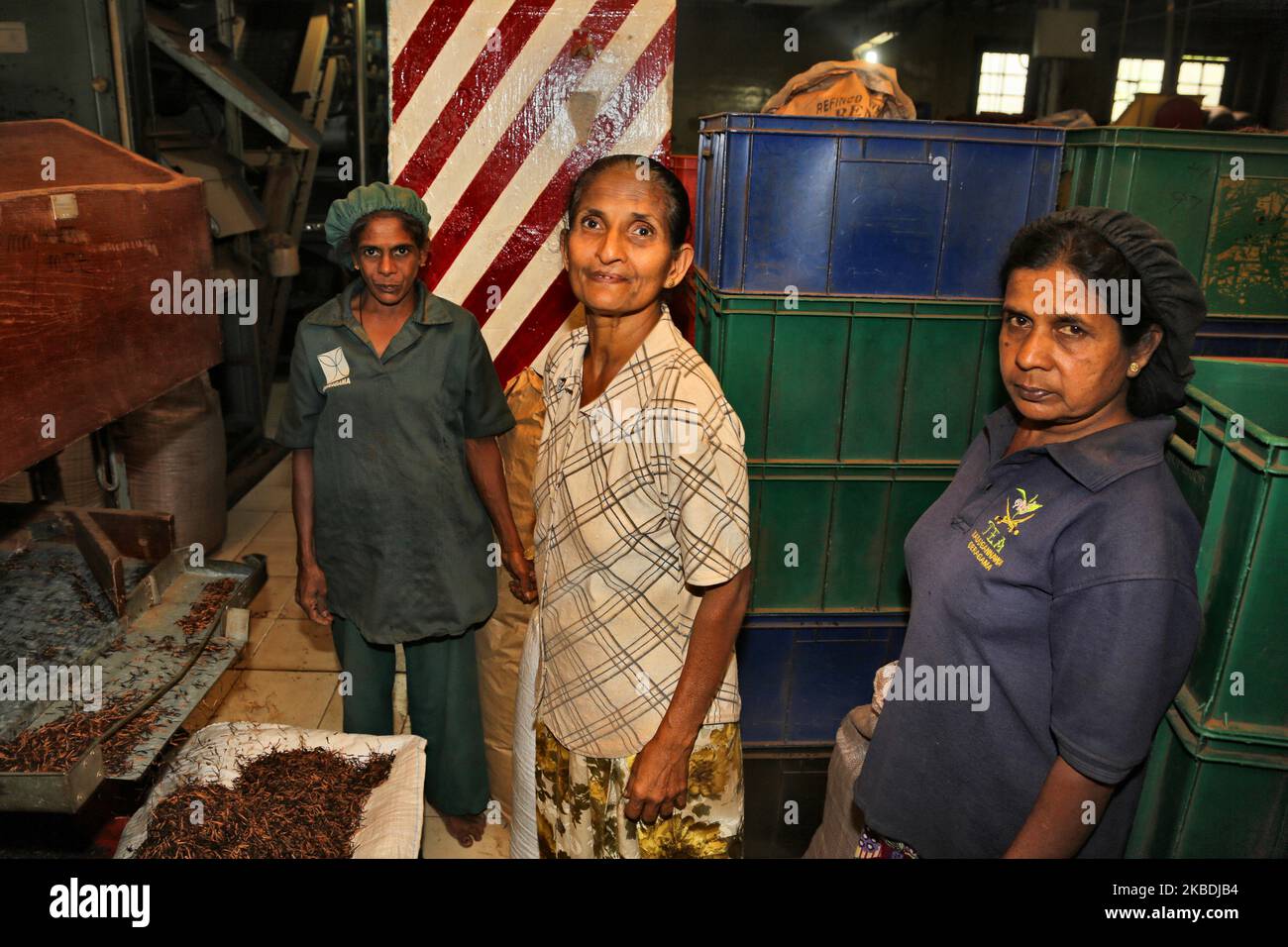 Workers stand by a large machine drying tea leaves at the Geragama Tea ...