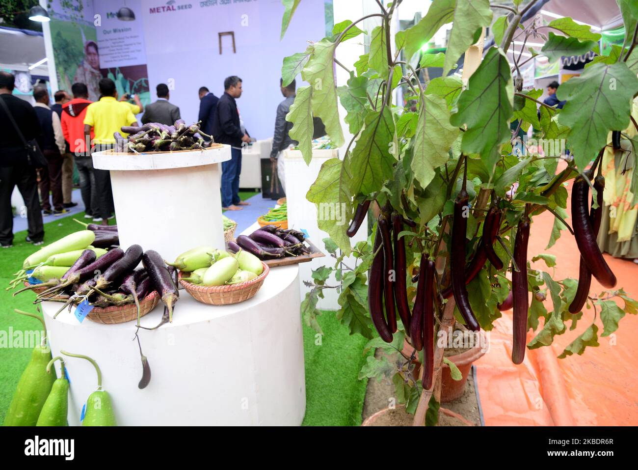 Bangladesh department of agriculture extension hi-res stock photography ...