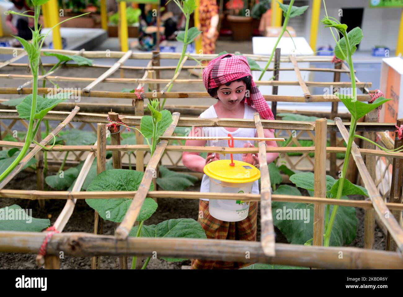 Bangladesh peoples visits the National Vegetable exhibition at ...