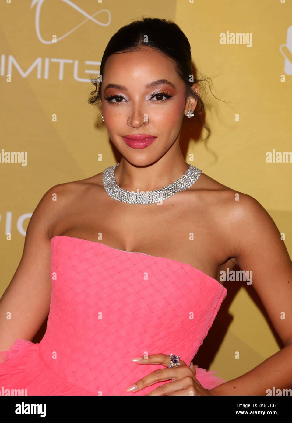 Hollywood, CA, November 3, 2022, Tinashe arrives at The amfAR Gala Los ...
