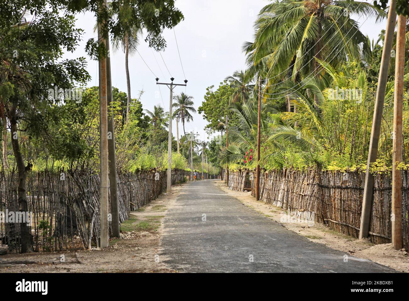 Palk straight hi-res stock photography and images - Alamy