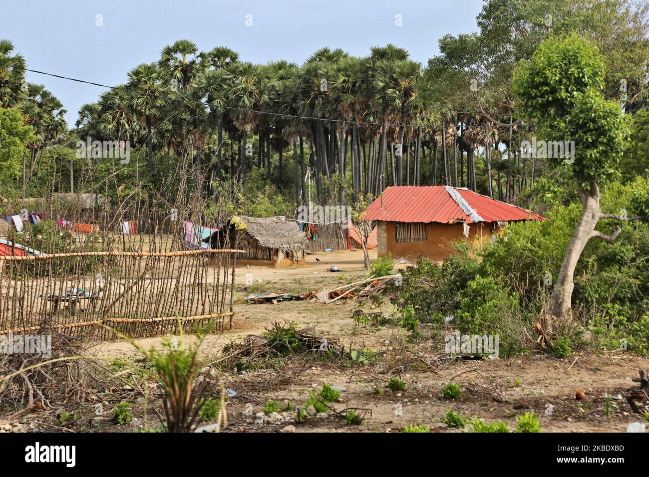 Small rural home on Analaitivu Island in the Jaffna region of Sri Lanka. (Photo by Creative ...