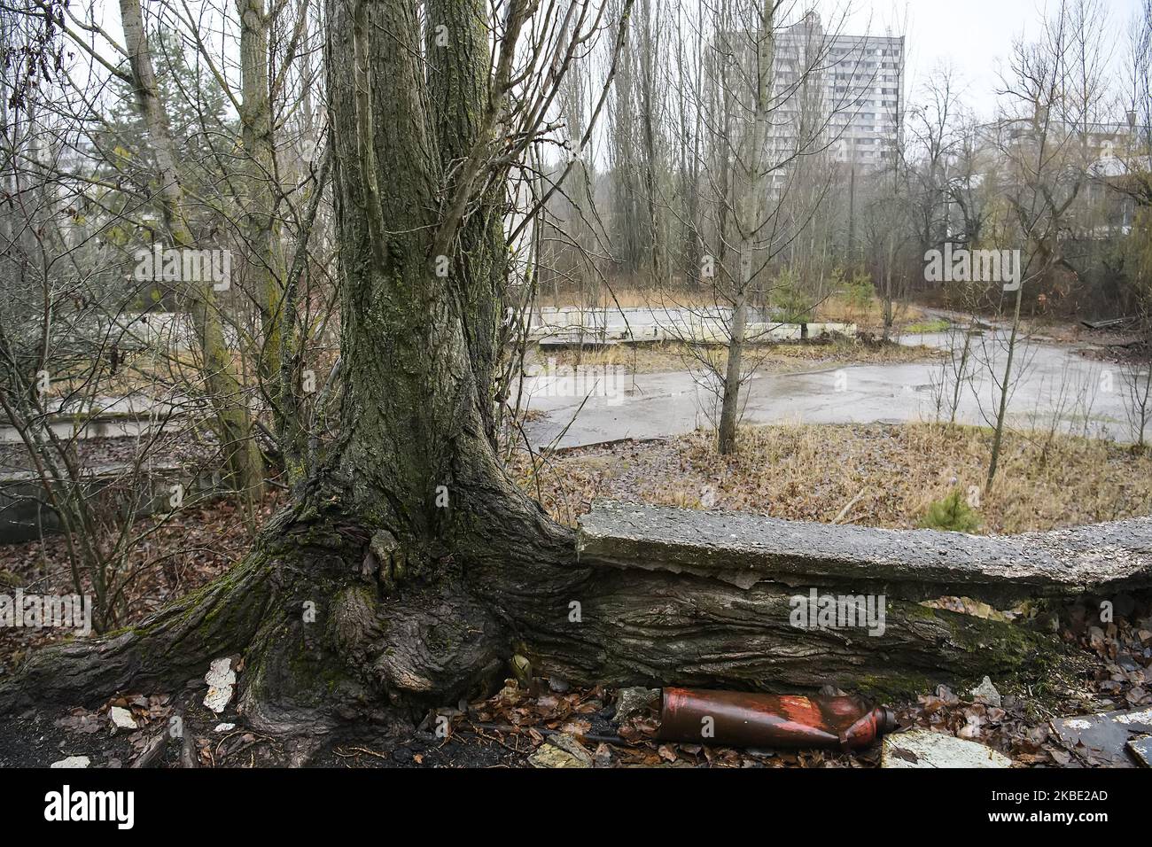 Abandoned ghost town Prypiat. Overgrown trees and collapsing buildings ...