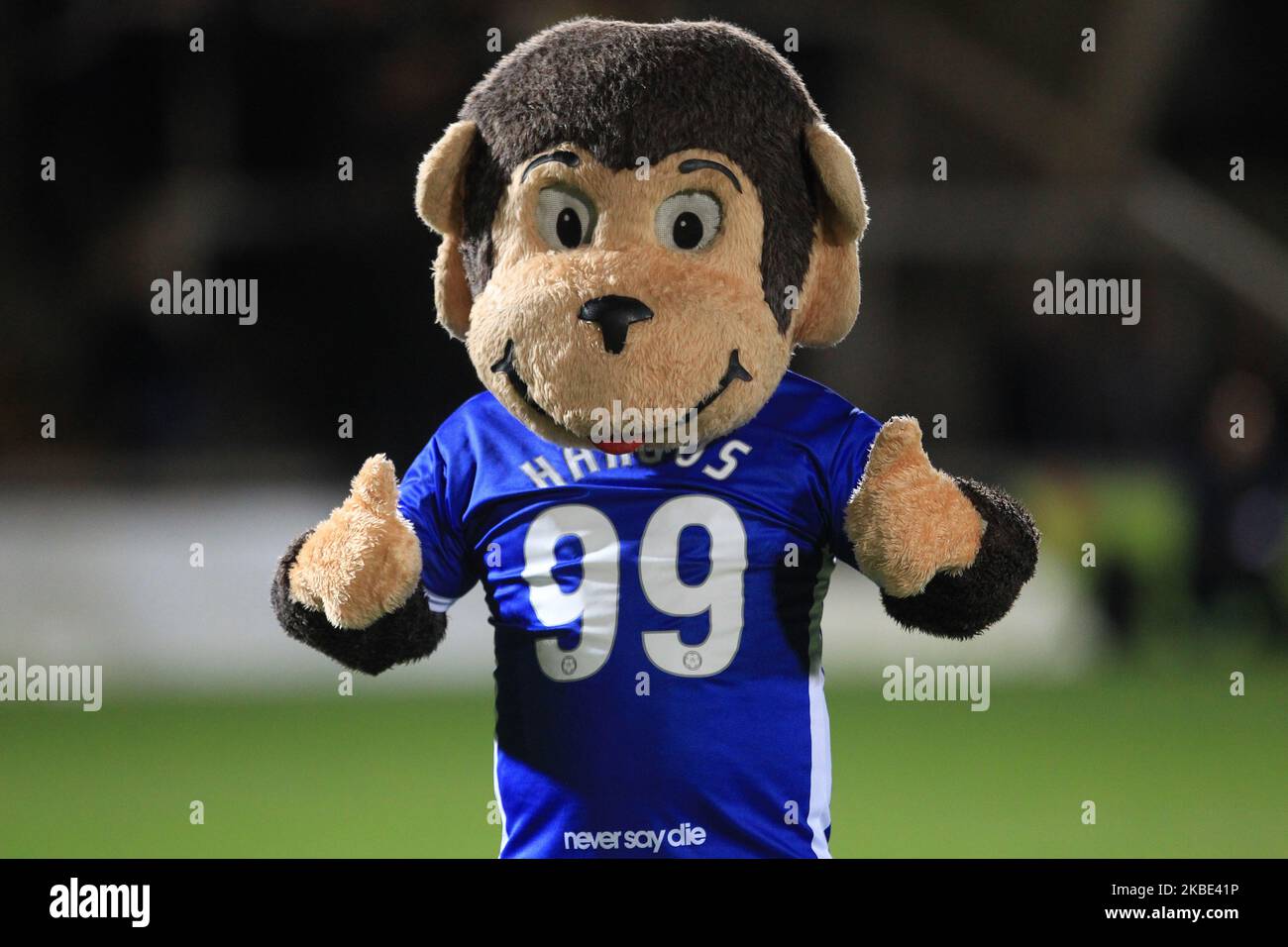 Hartlepool mascot hi-res stock photography and images - Alamy