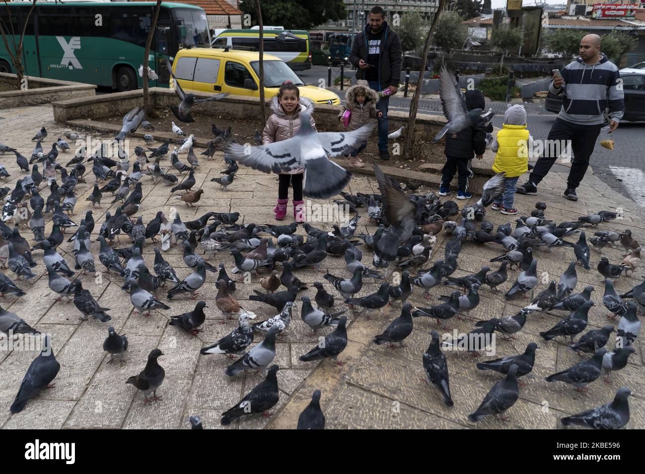 Some children feed the pigeons in the city of Nazareth, Israel, on 10 ...