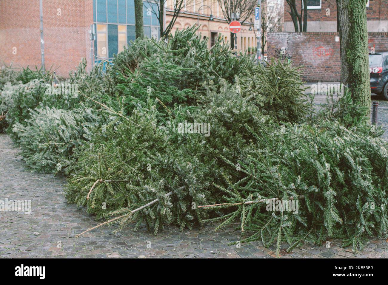A huge pile of Christmas trees is seen on the street corner of Cologne ...