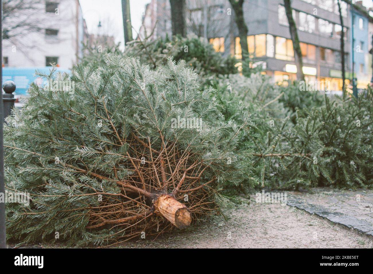 A huge pile of Christmas trees is seen on the street corner of Cologne ...