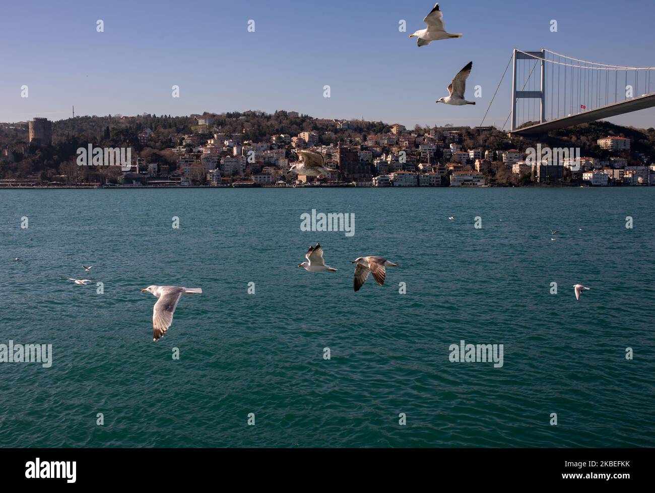For the Canal (Kanal) Istanbul project, an artificial 45-kilometer ...