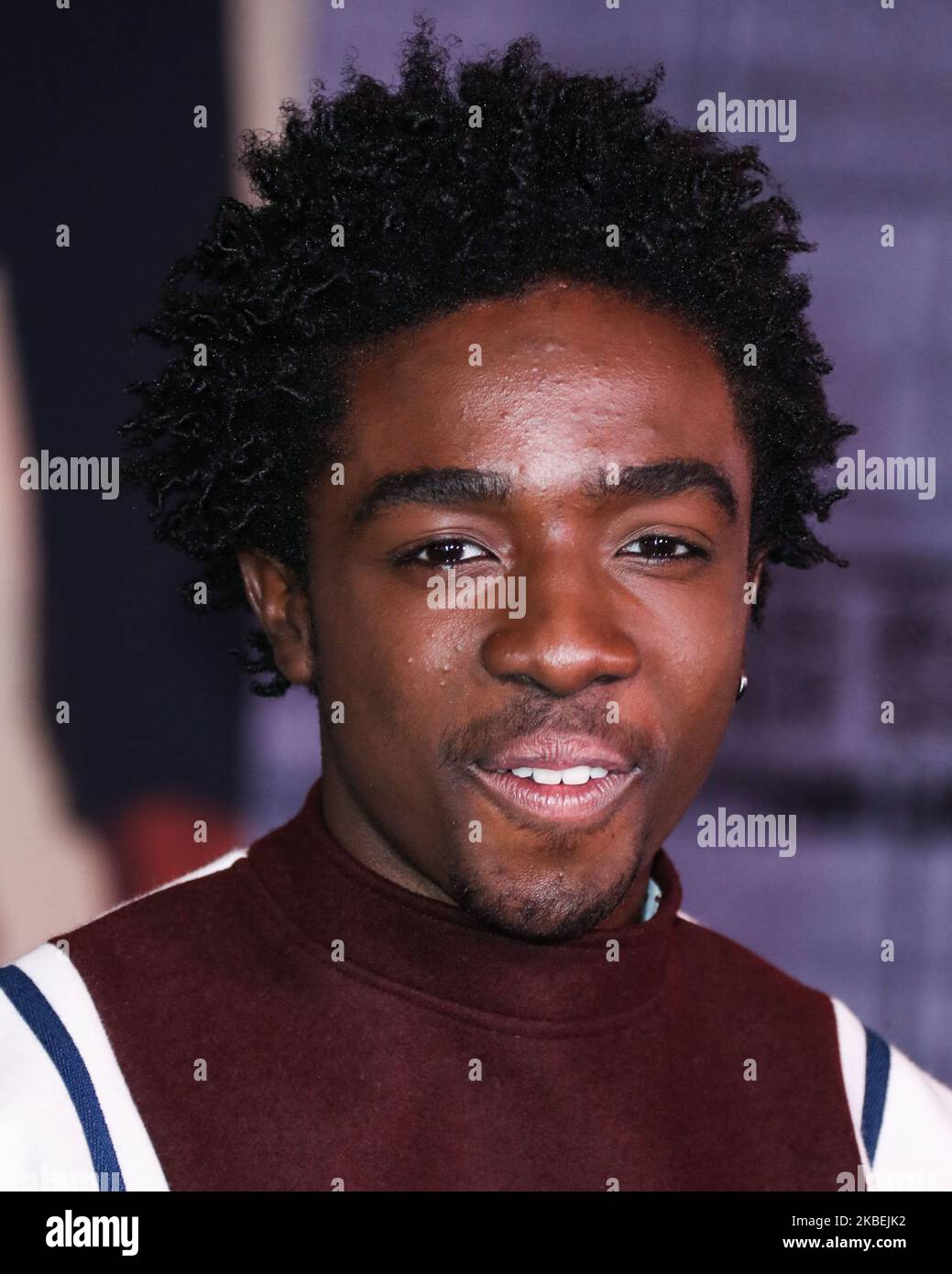 HOLLYWOOD, LOS ANGELES, CALIFORNIA, USA - JANUARY 14: Actor Caleb ...