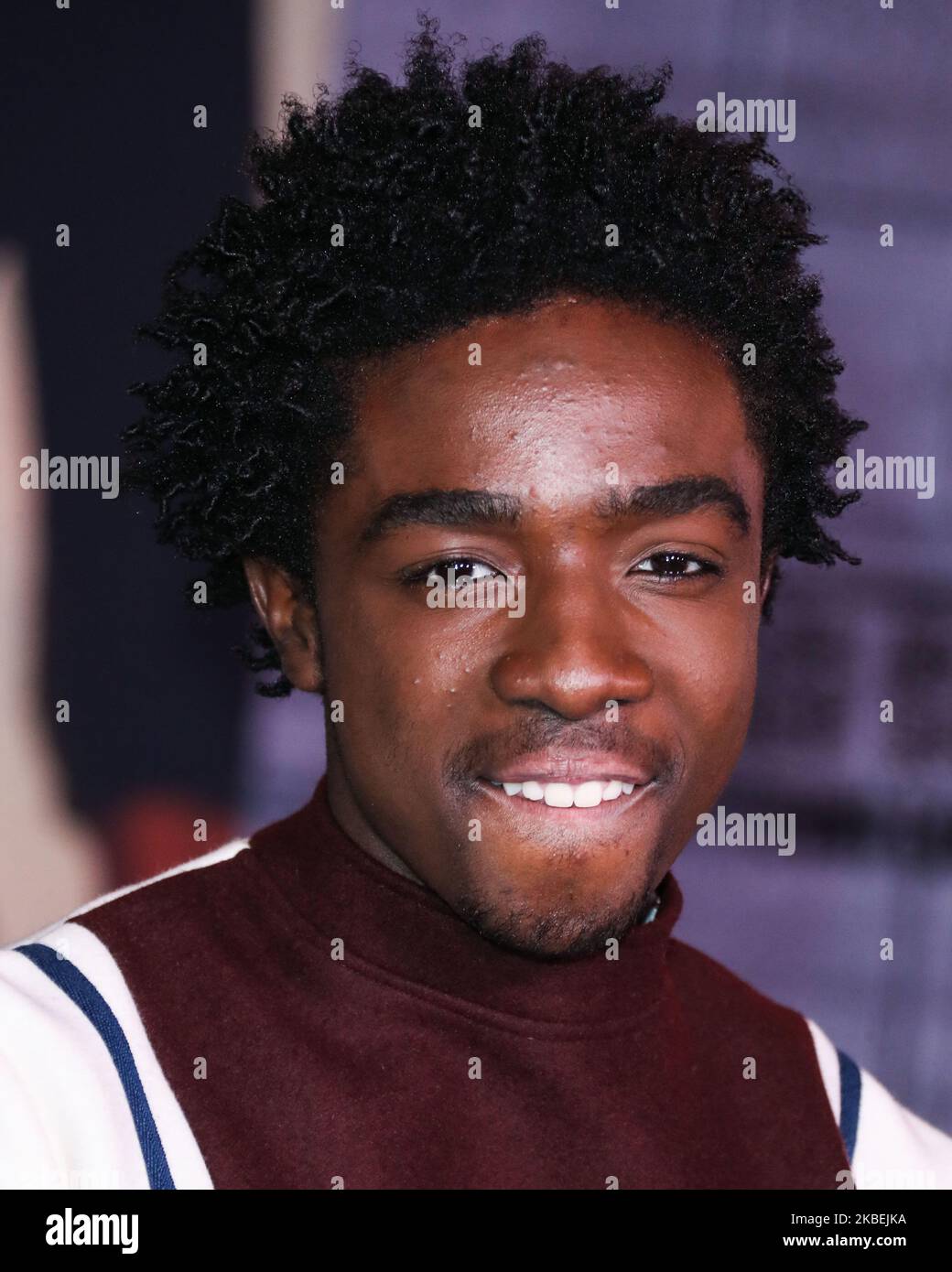 HOLLYWOOD, LOS ANGELES, CALIFORNIA, USA - JANUARY 14: Actor Caleb ...